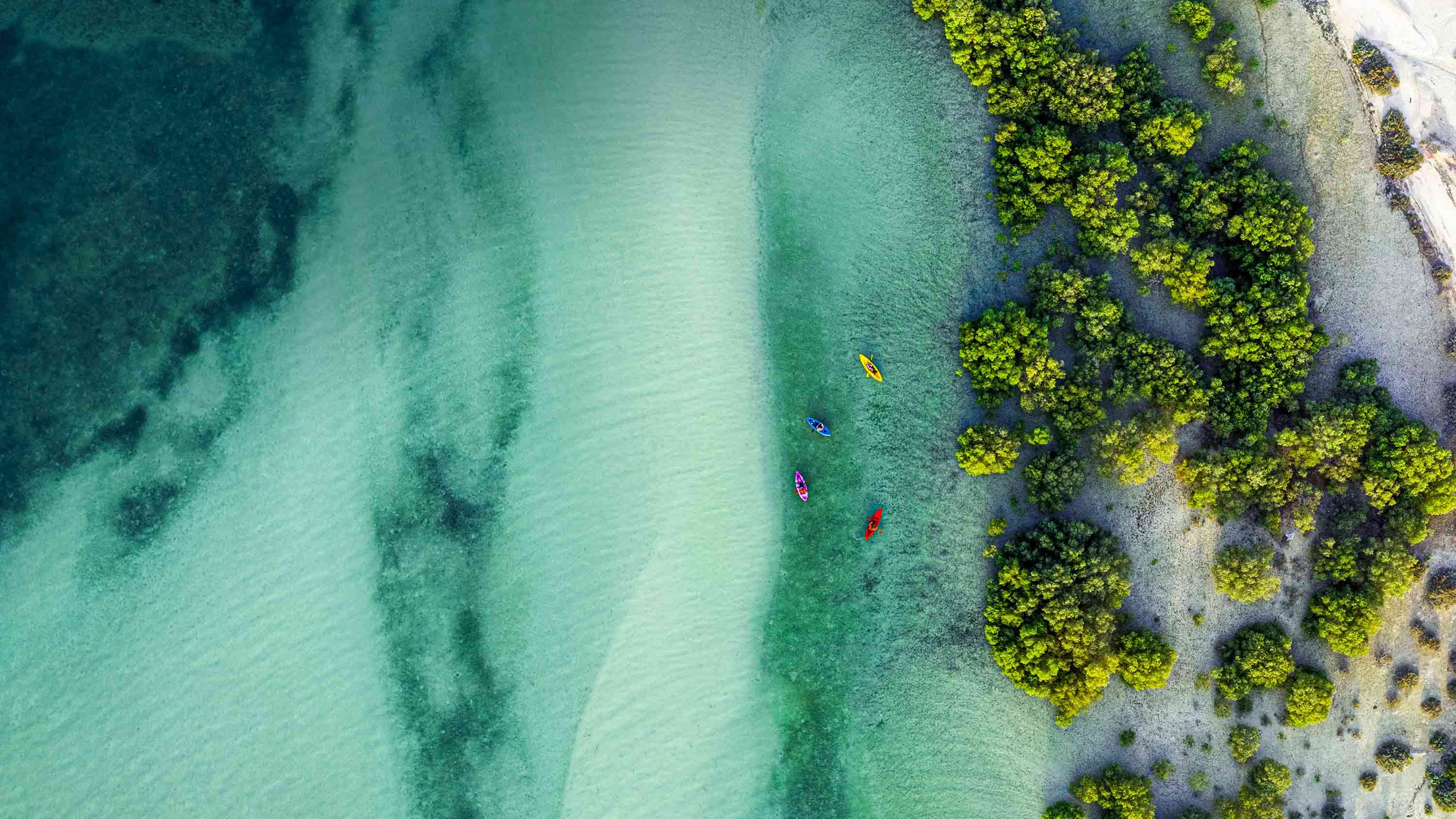 Helping you build a more sustainable business | HSBC Australia