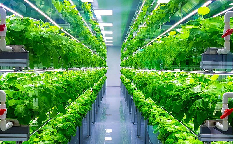 Transition Pathways | Sustainability | HSBC Australia